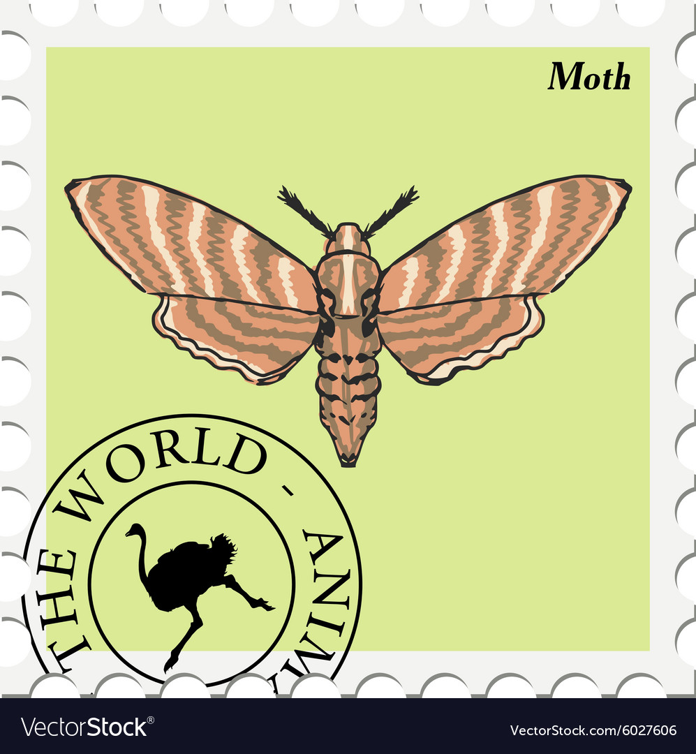 Moth Royalty Free Vector Image - VectorStock
