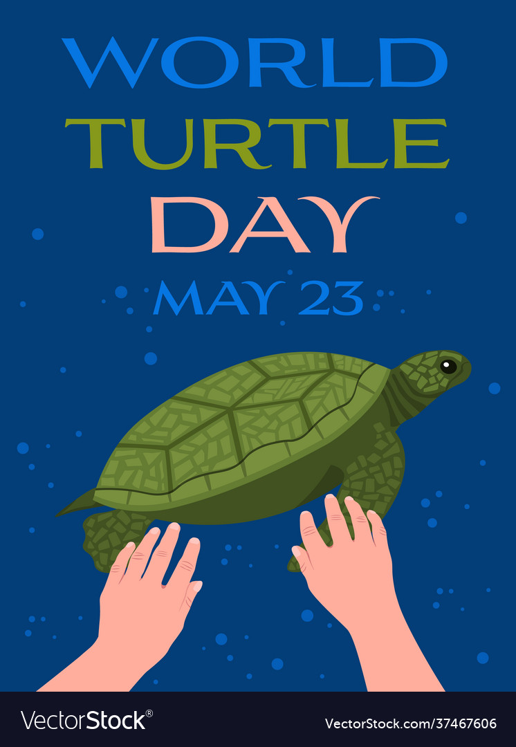 World turtle day in may international event Vector Image