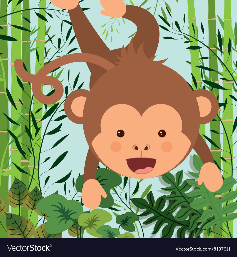 Cute monkey design Royalty Free Vector Image - VectorStock