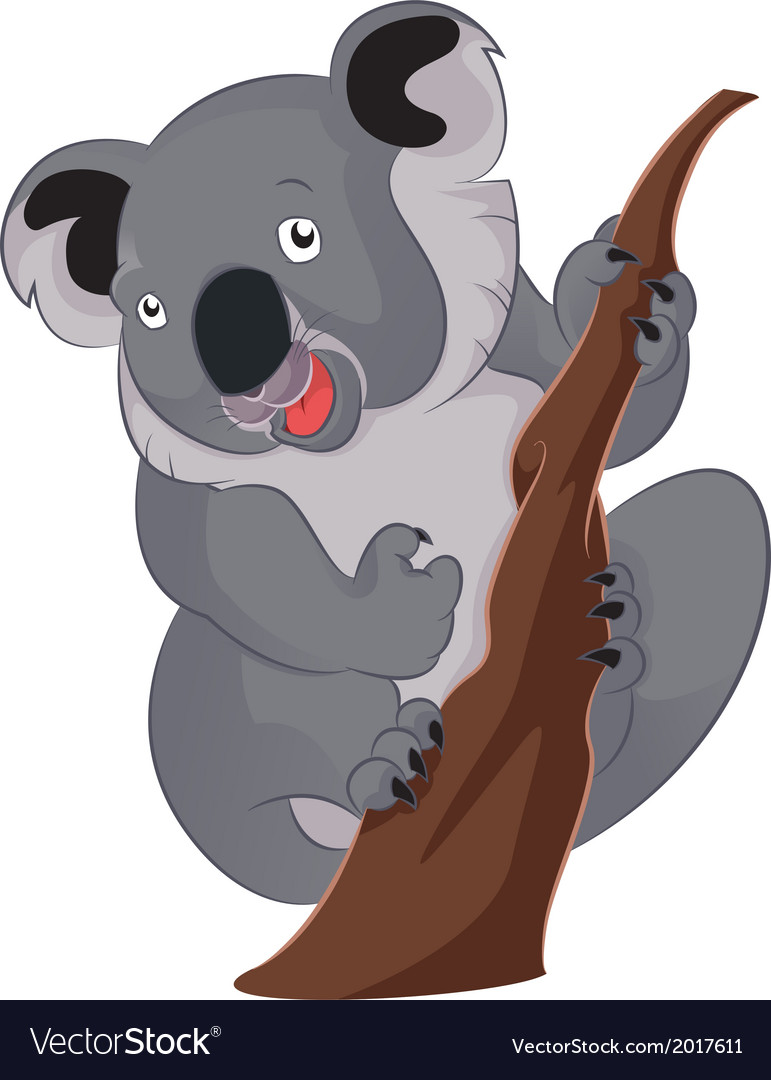 Koala Royalty Free Vector Image - VectorStock