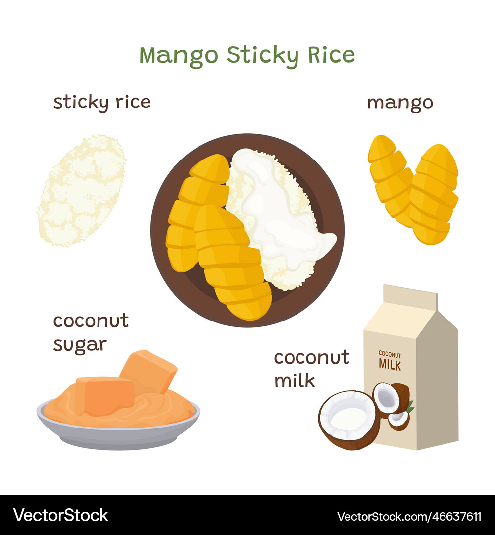 Mango sticky rice recipe and ingredients asian Vector Image