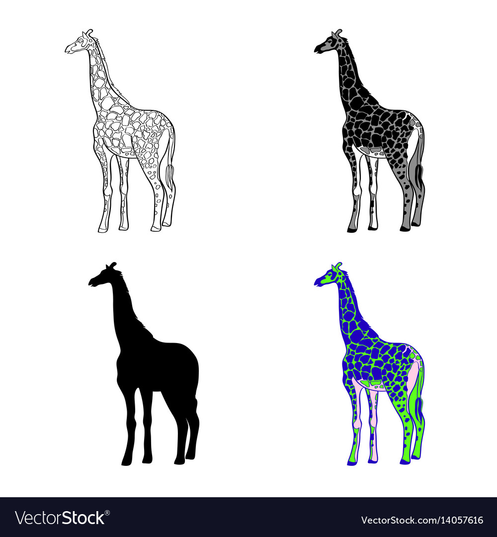 An image a giraffe Royalty Free Vector Image - VectorStock