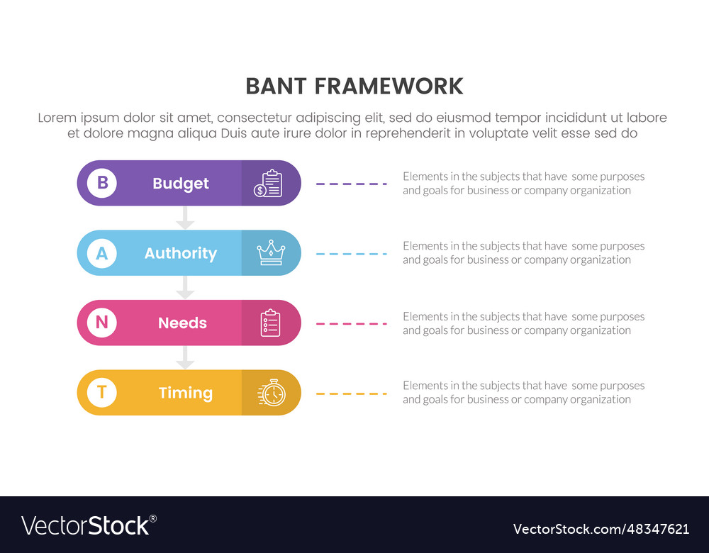 Bant sales framework methodology infographic Vector Image