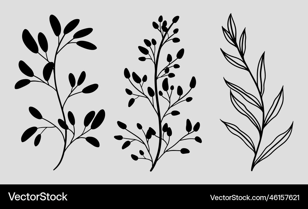 Set of black and white flowers branches Royalty Free Vector