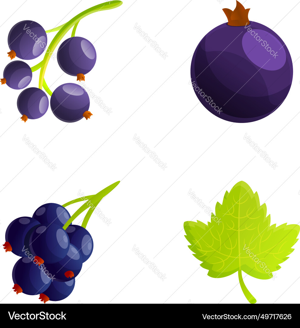 Black currant icons set cartoon fresh Royalty Free Vector