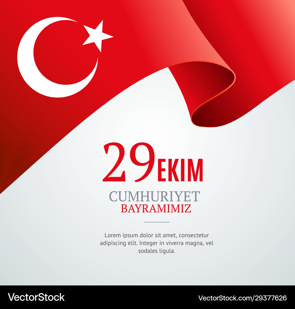 Realistic 3d detailed turkey flag banner Vector Image