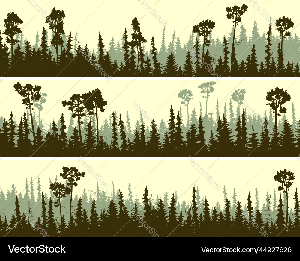 Set of horizontal banners coniferous forest Vector Image