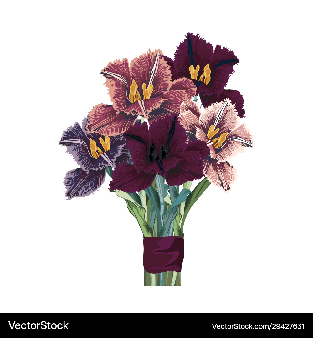 Flower bouquet floral bunch design object Vector Image