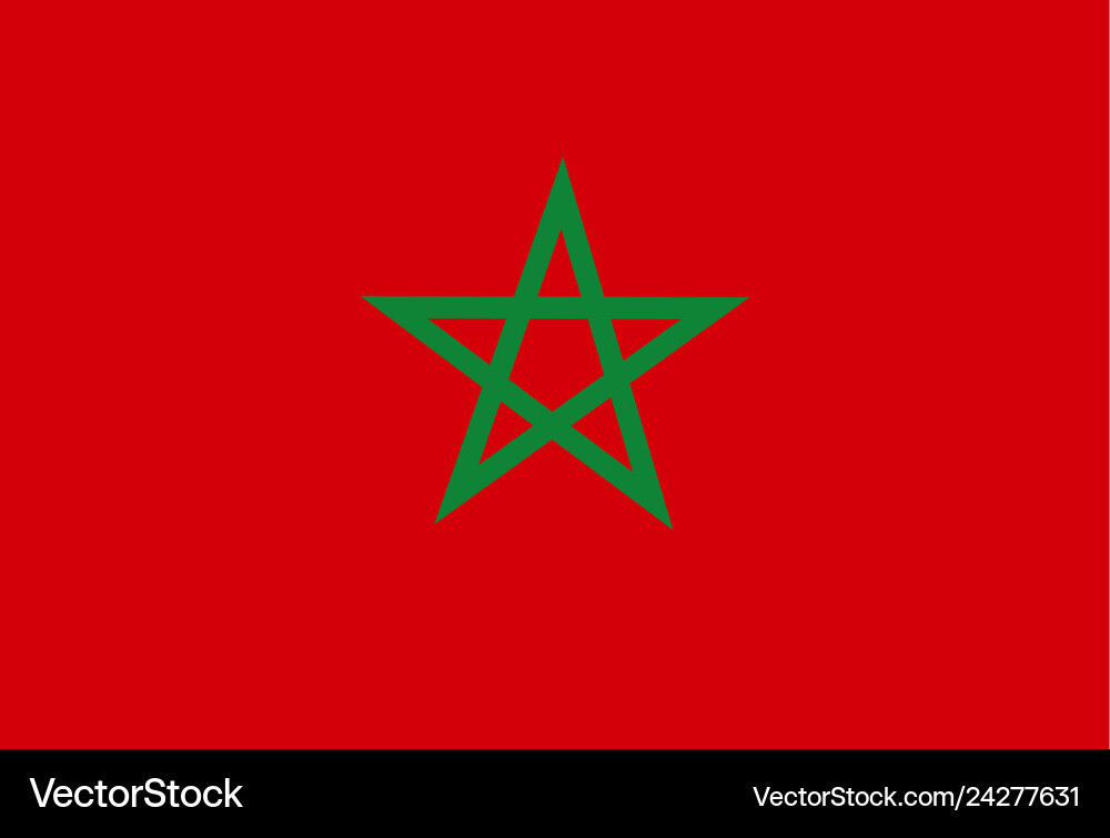 Simple flag of morocco moroccan correct size Vector Image