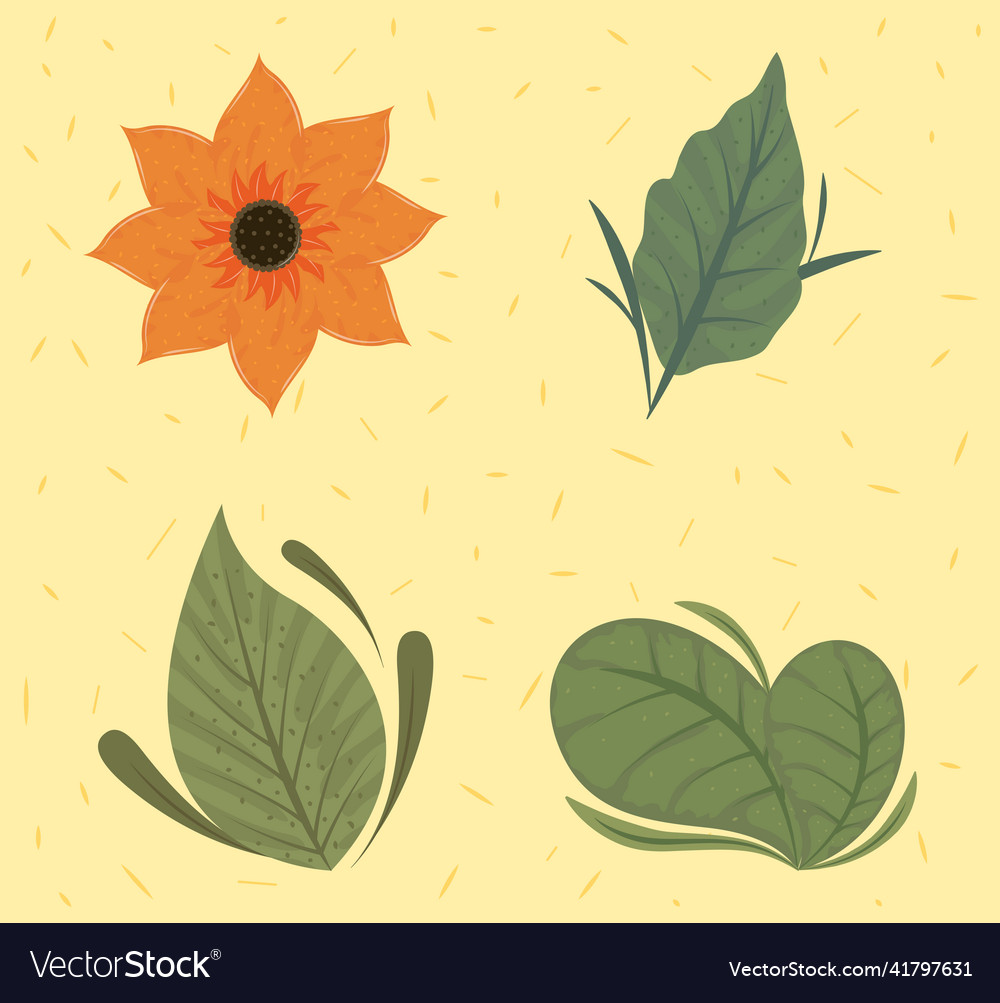 Spring flower leaves Royalty Free Vector Image
