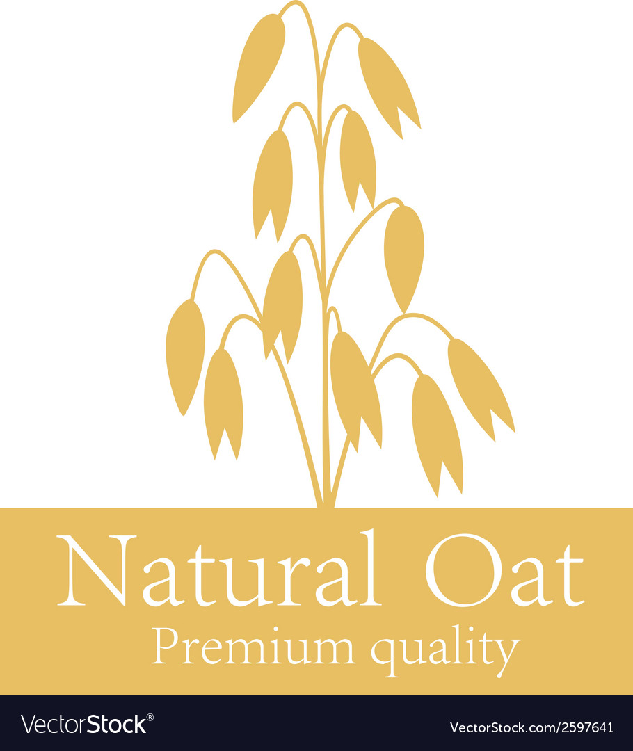 Oat Royalty Free Vector Image - VectorStock