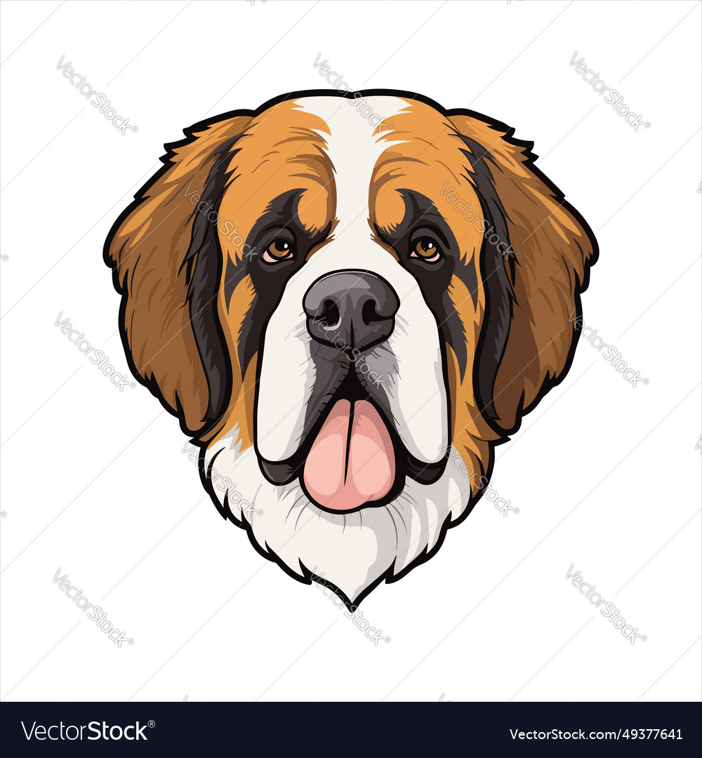 St bernard dog breed cute cartoon kawaii Vector Image
