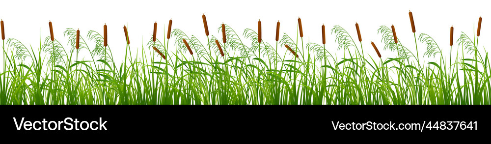 Swamp plants border realistic green grass line Vector Image