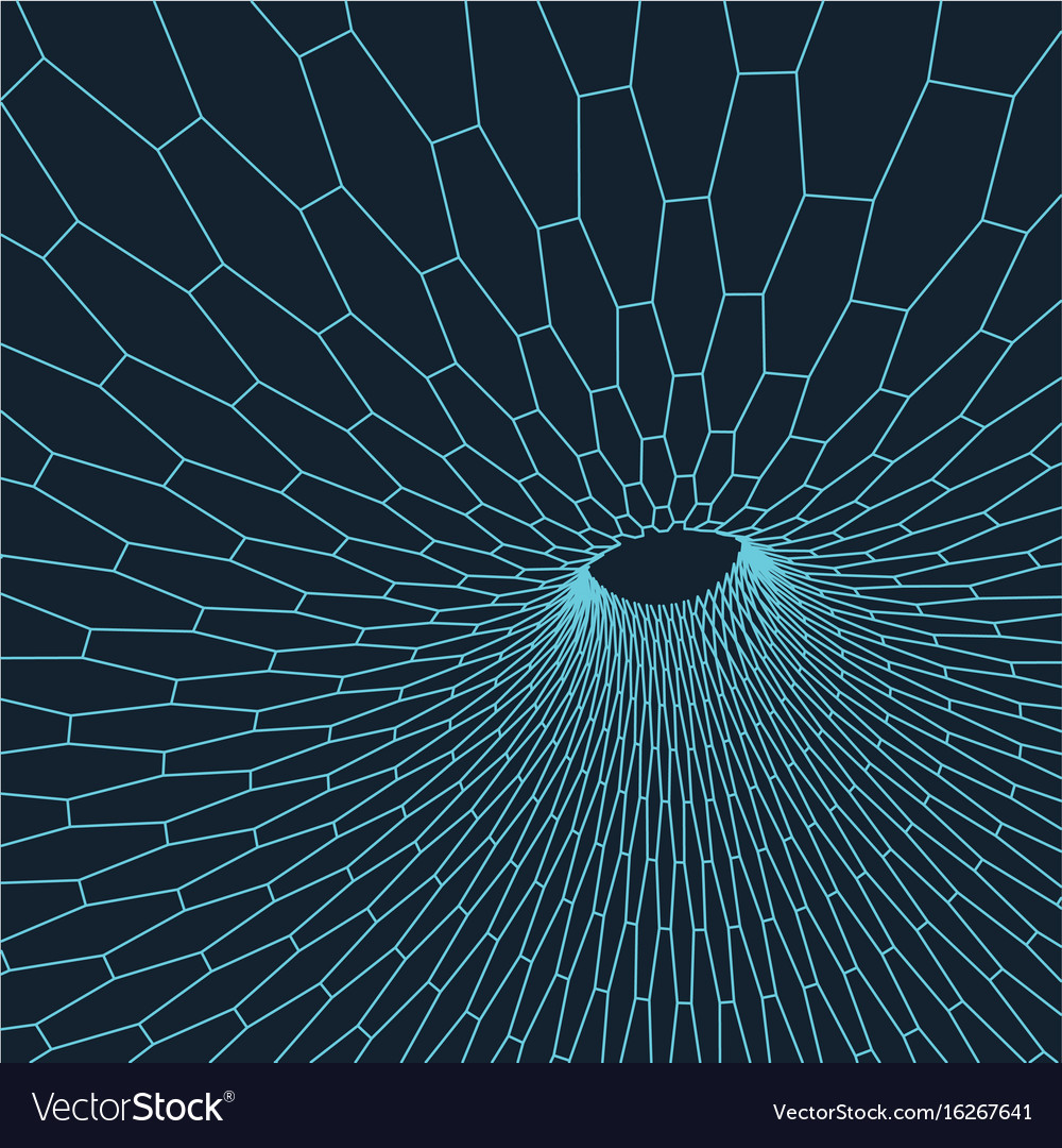 Wireframe torus with connected lines and dots Vector Image