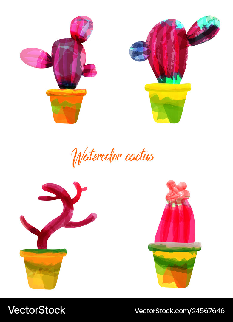 Cactus isolated on white background watercolor Vector Image