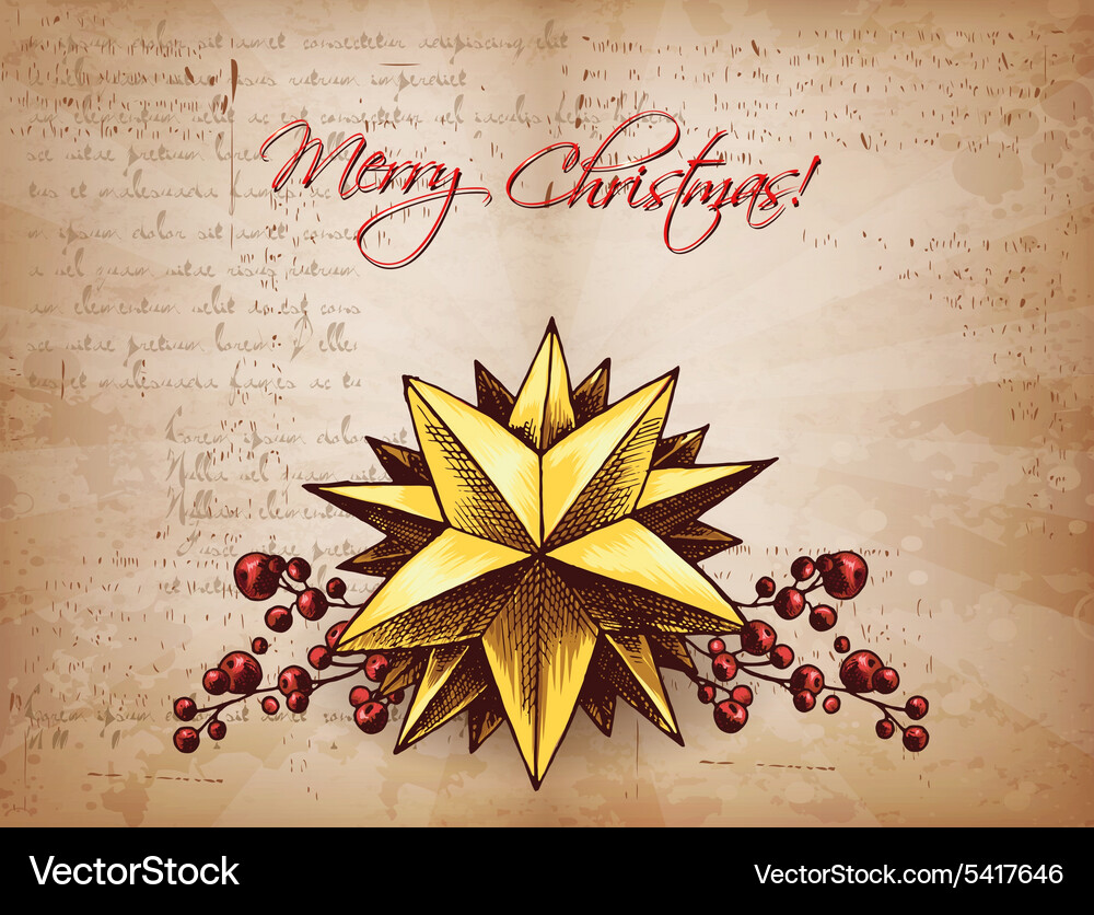 Christmas with star and cranberry Royalty Free Vector Image