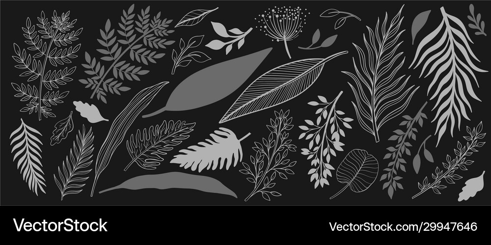 Plant nature hand drawn set collection botanical Vector Image