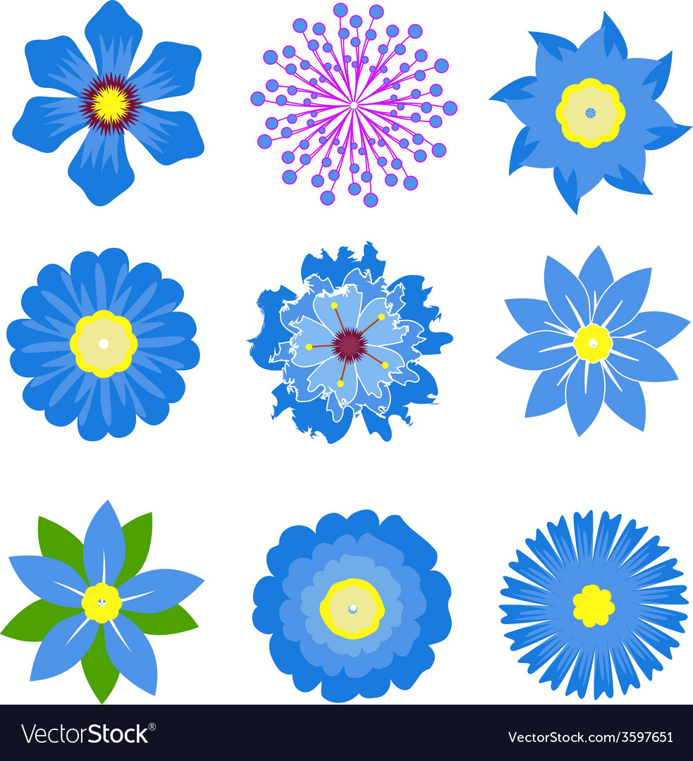 Spring flowers Royalty Free Vector Image - VectorStock