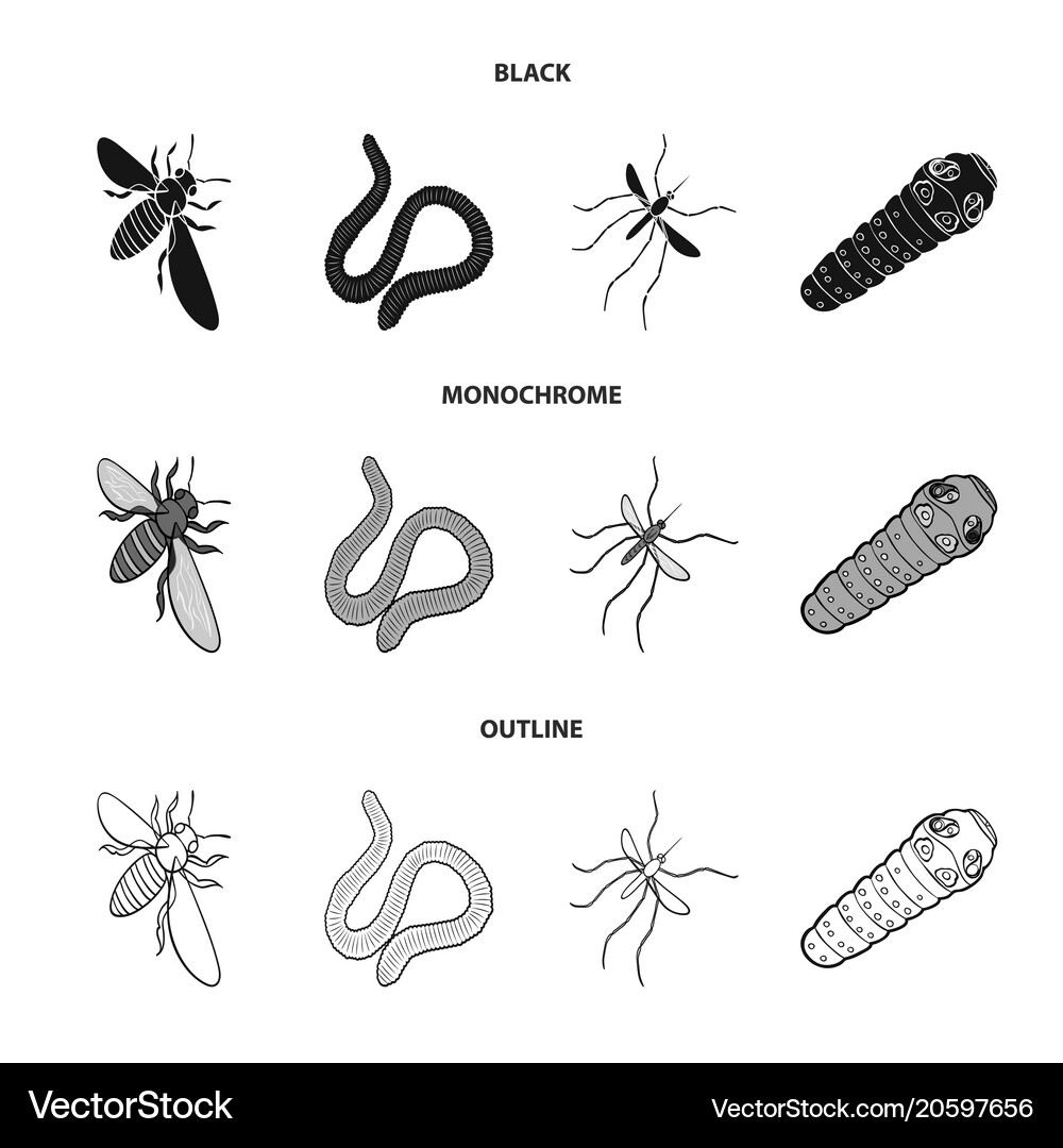 Arthropods insect mosquito beeearth worm Vector Image