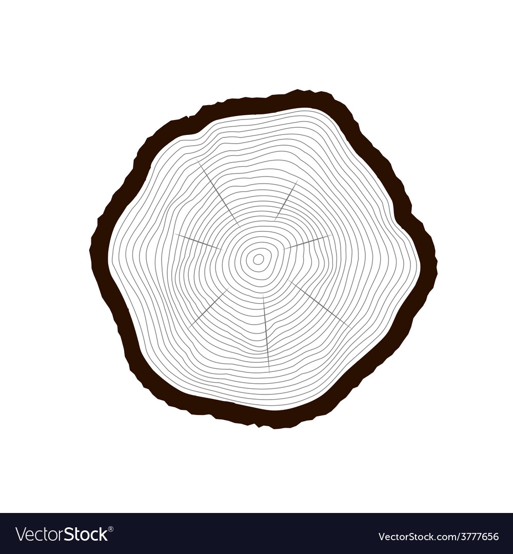 Tree rings Royalty Free Vector Image - VectorStock