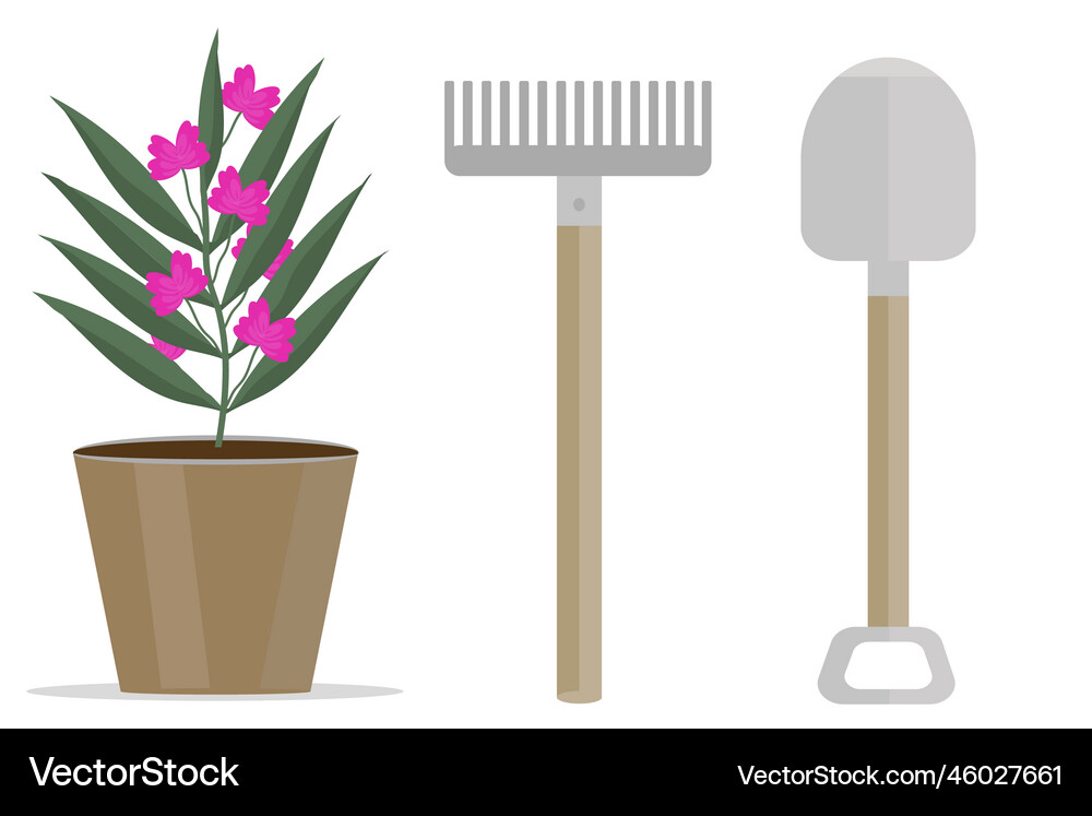 A spade and rake potted flowers set Royalty Free Vector