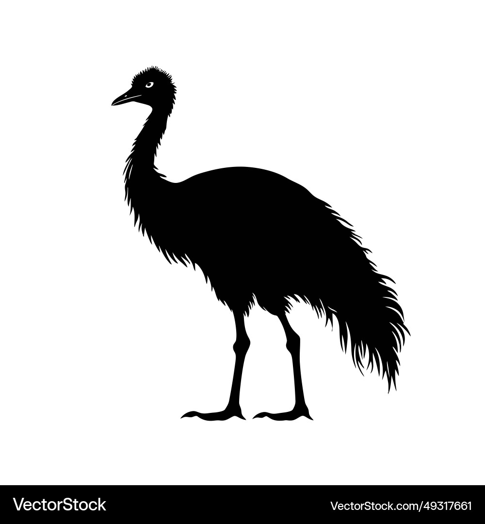 Black silhouette of a emu Royalty Free Vector Image