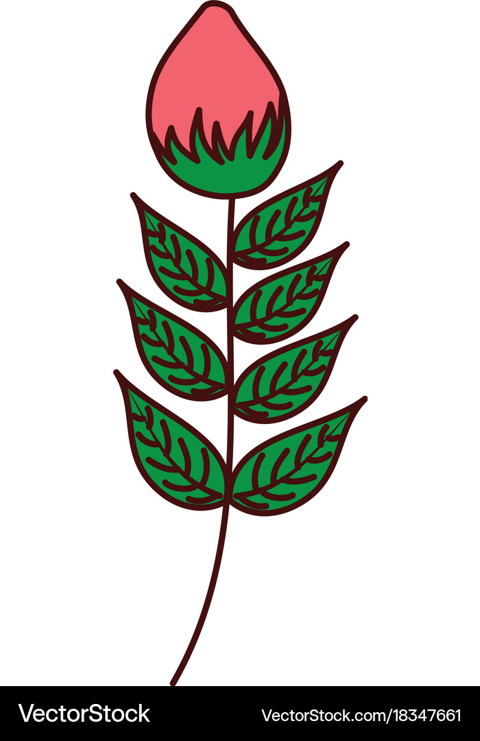 Flower garden growth bulb natural image Royalty Free Vector