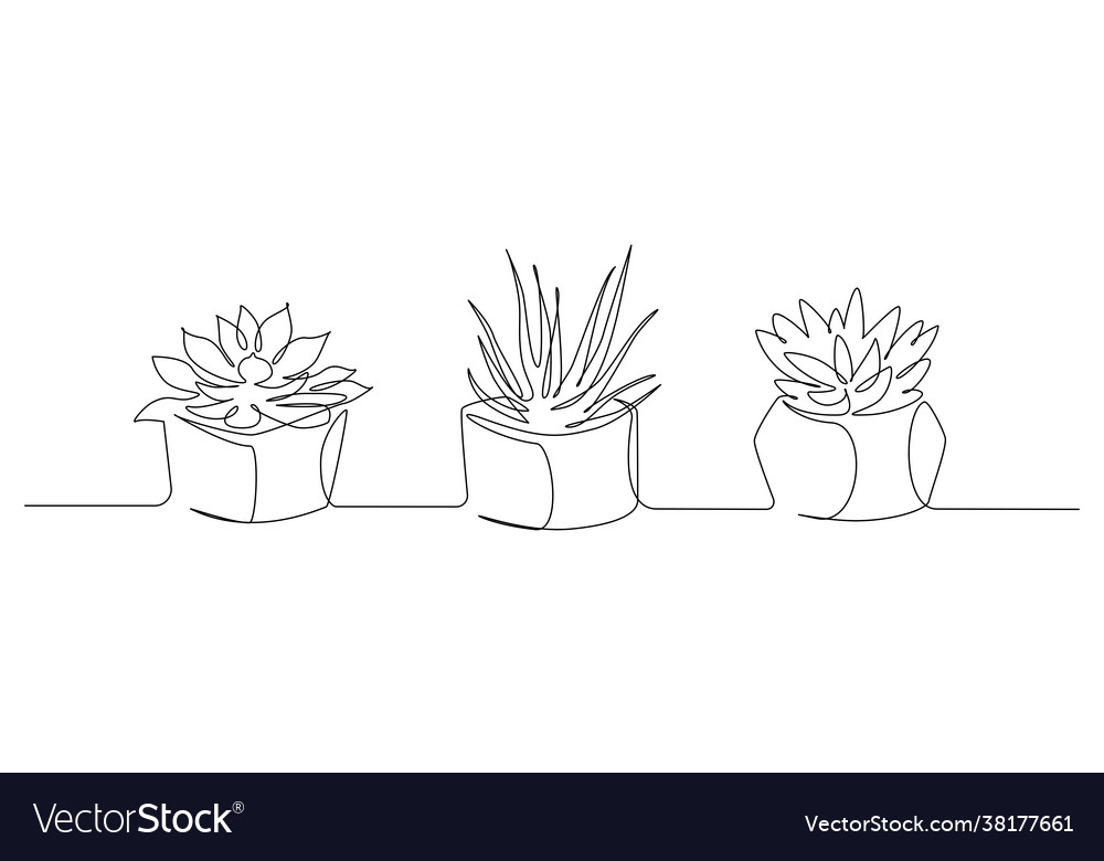 Home Plants In One Continuous Line Drawing Potted Vector Image