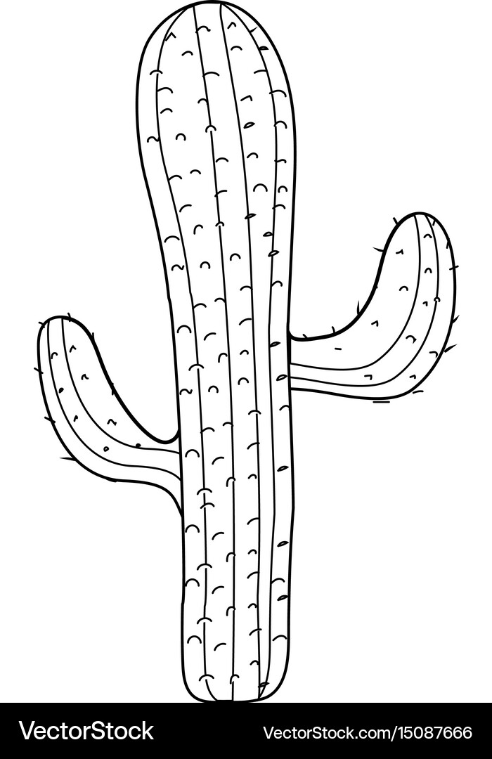 Desert Cactus Line Art Royalty Free Vector Image