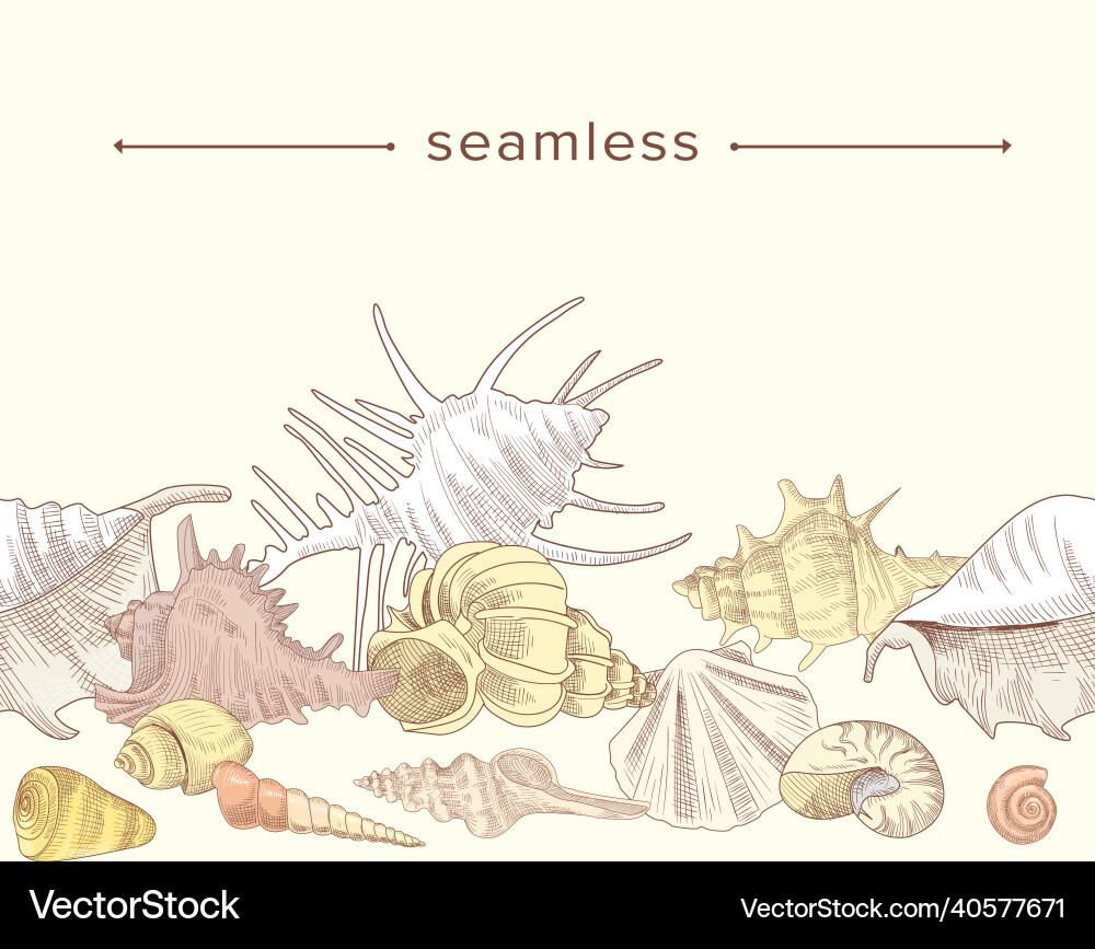 Sketch seamless pattern with sea shells mollusk Vector Image