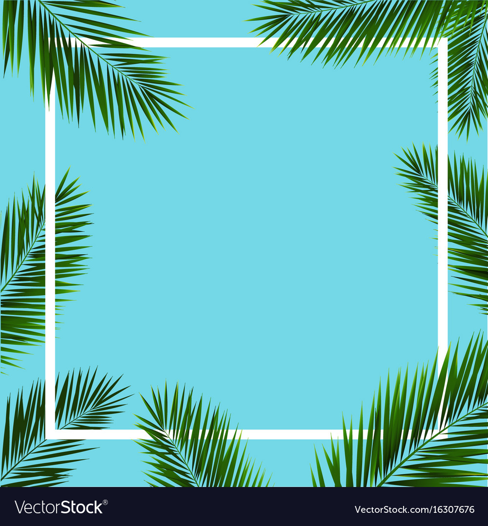 Frame with palm trees Royalty Free Vector Image Frame with palm trees Royalty Free Vector Image