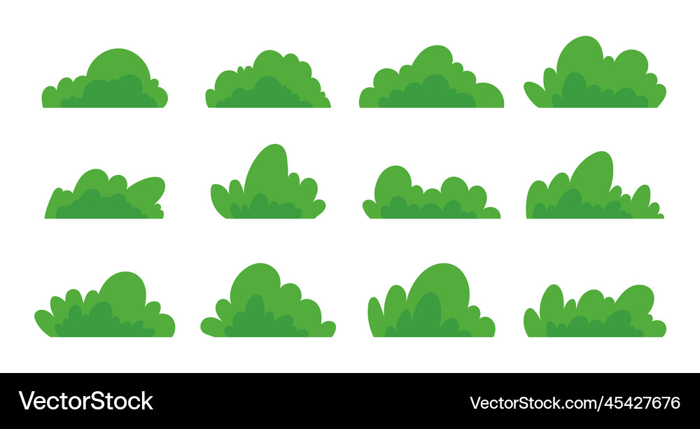 Natural green grass bushes decorate environmental Vector Image