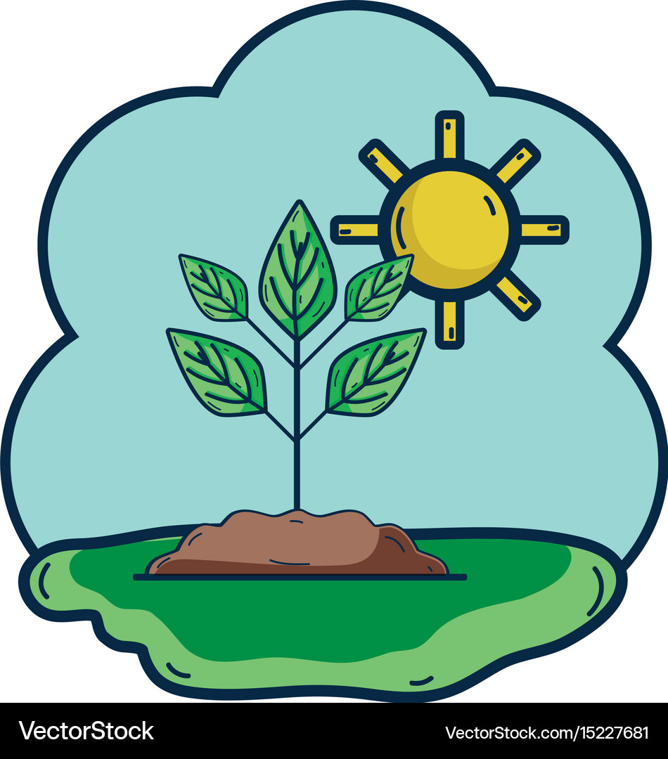 Plant with ground and sun weather Royalty Free Vector Image