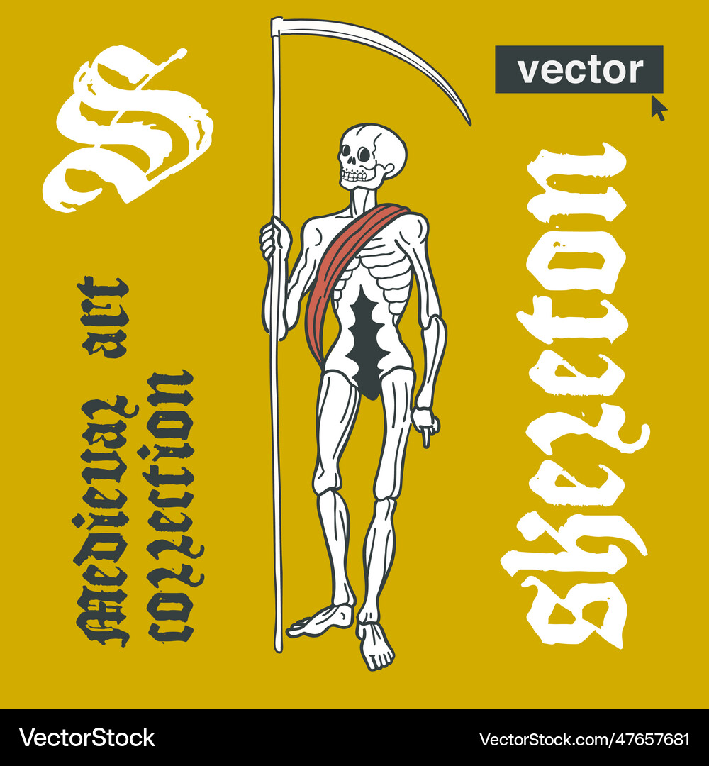 Skeleton with scythe medieval style engraving Vector Image