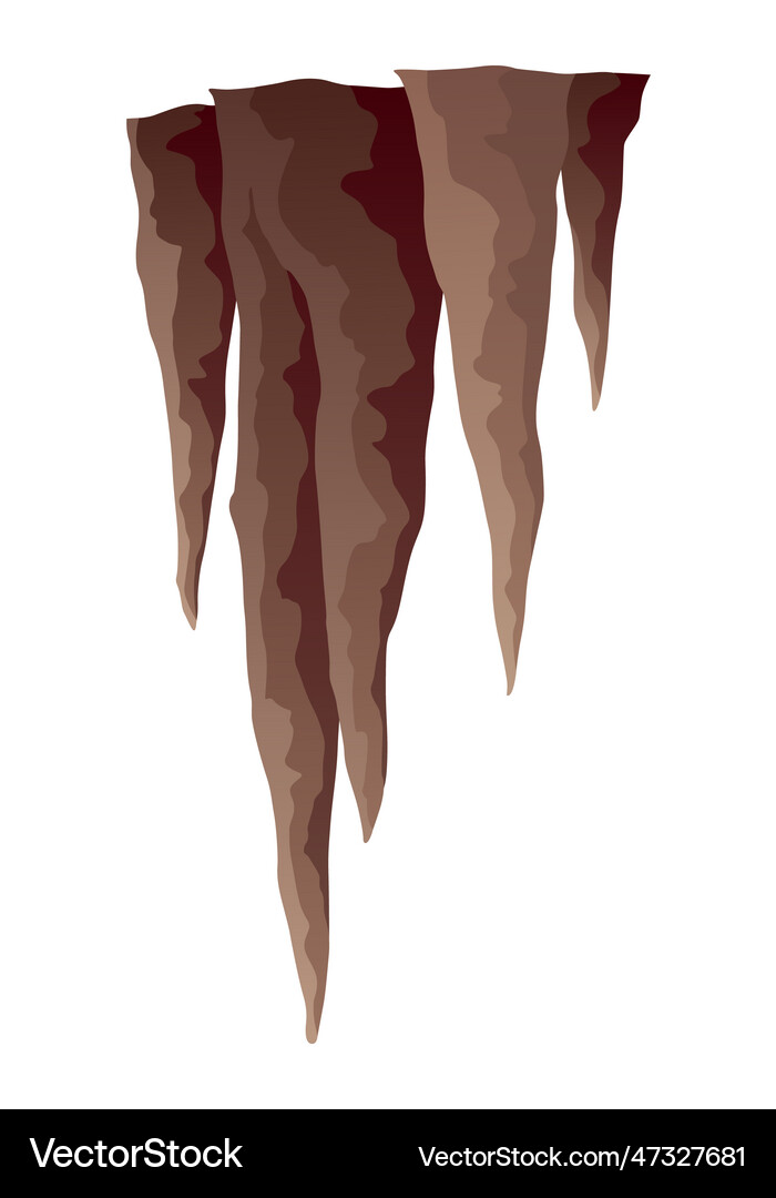 Stalactite icicle shaped hanging mineral Vector Image