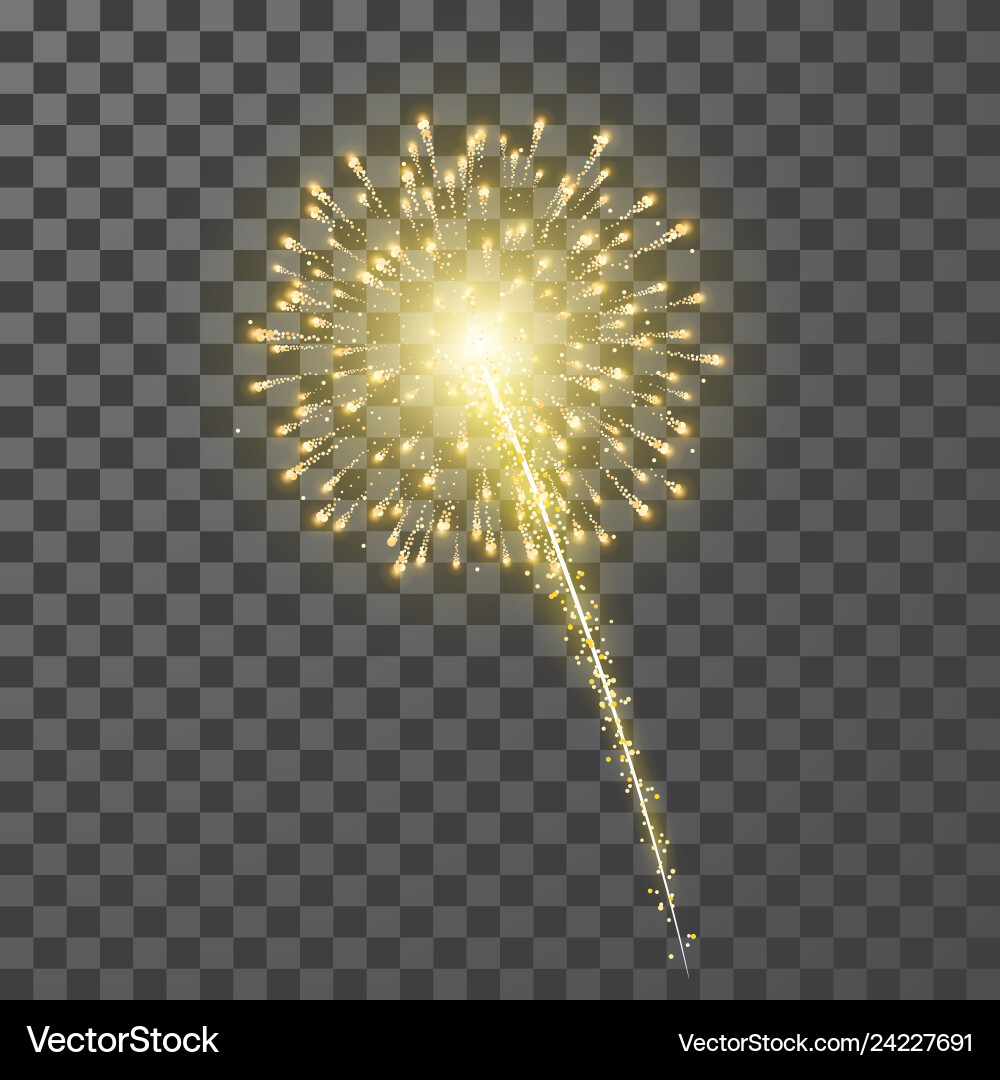 Fireworks festival colorful firework Royalty Free Vector