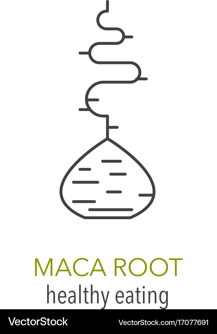 Maca root line icon Royalty Free Vector Image - VectorStock