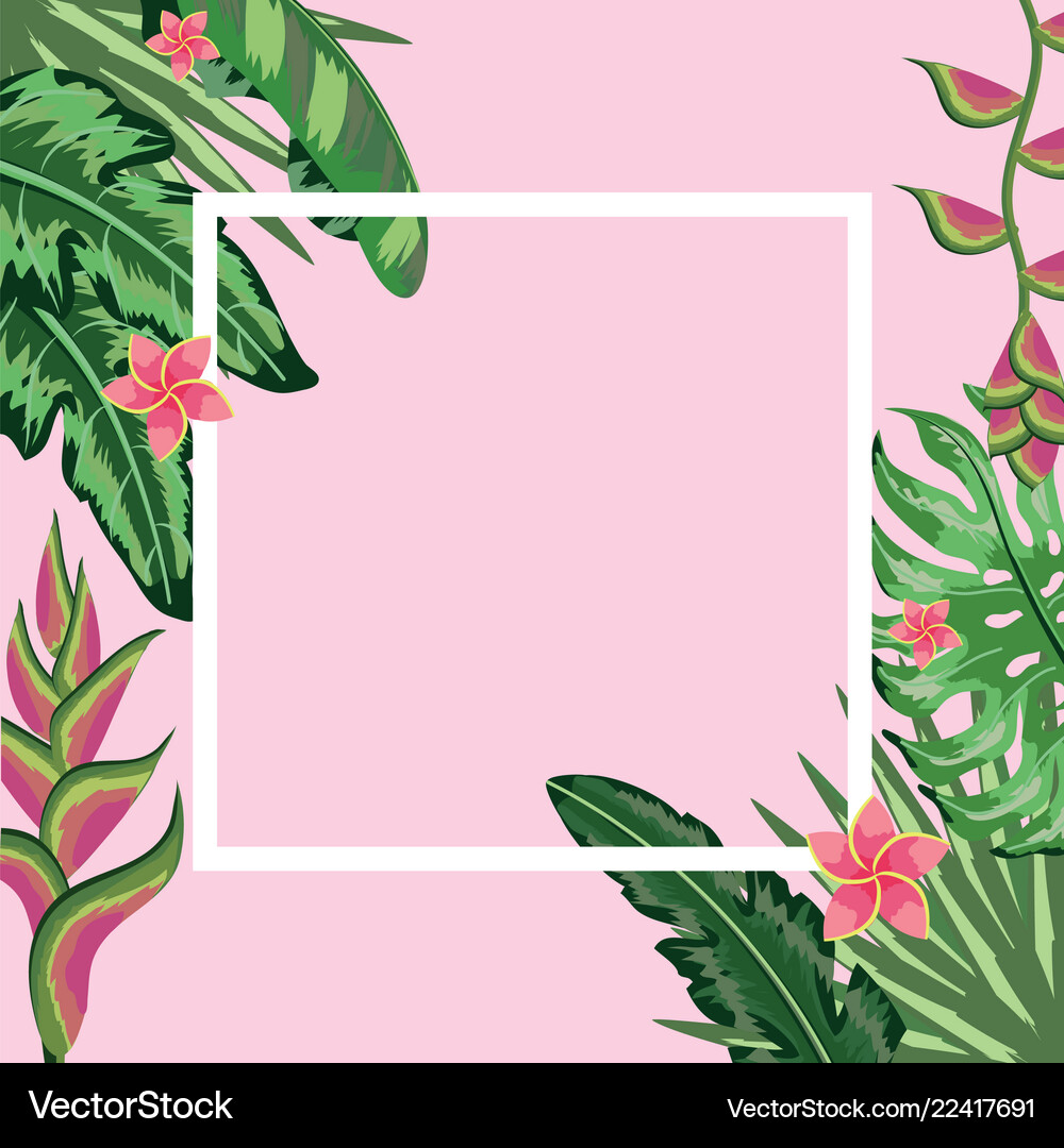 Square frame with natural flowers and plants Vector Image