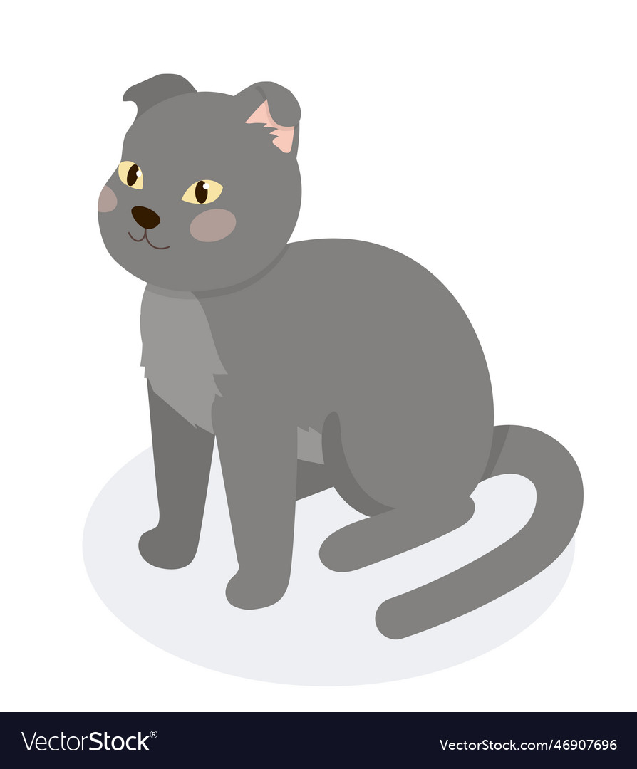 Isometric grey cat Royalty Free Vector Image - VectorStock