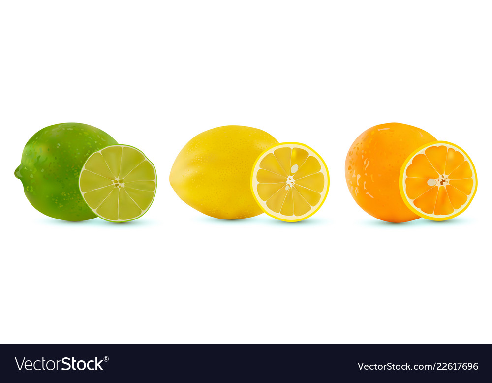 Set of citrus fruit lime orange and lemon Vector Image