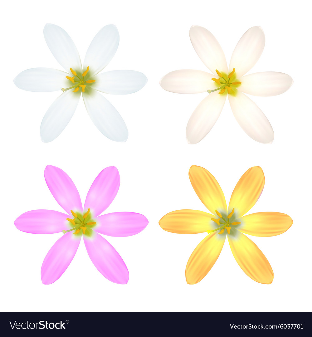 Basic rgb Royalty Free Vector Image - VectorStock