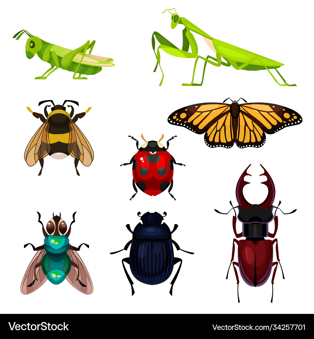 Cartoon color different insects icons set Vector Image