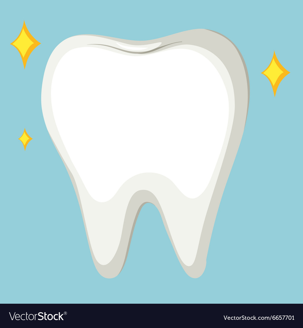 Close up cleaned tooth Royalty Free Vector Image