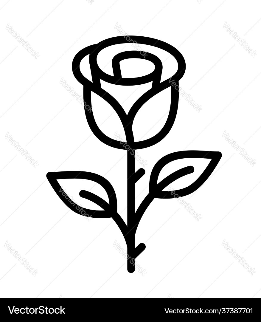 Rose line icon flower symbol flower with leaf Vector Image