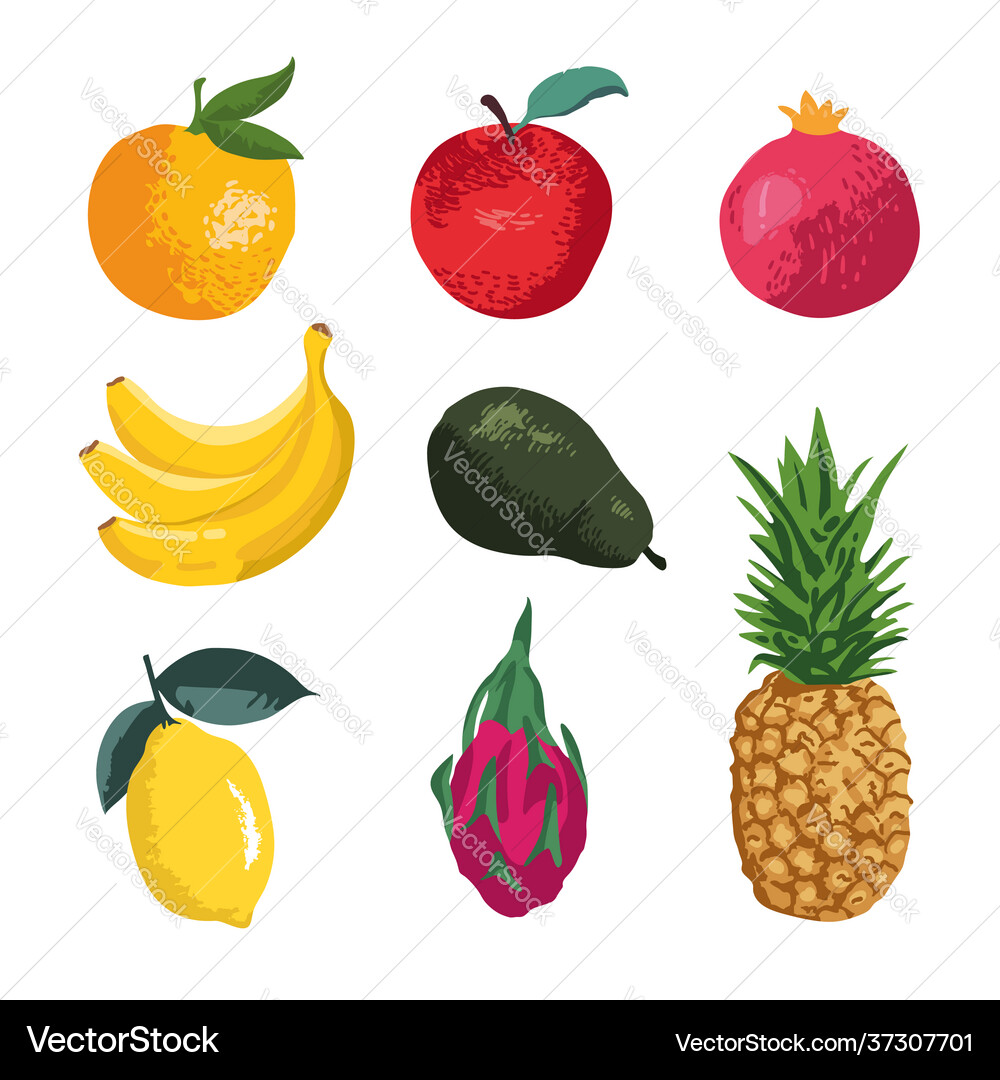 Set fruits apple avocado pear dragon fruit Vector Image