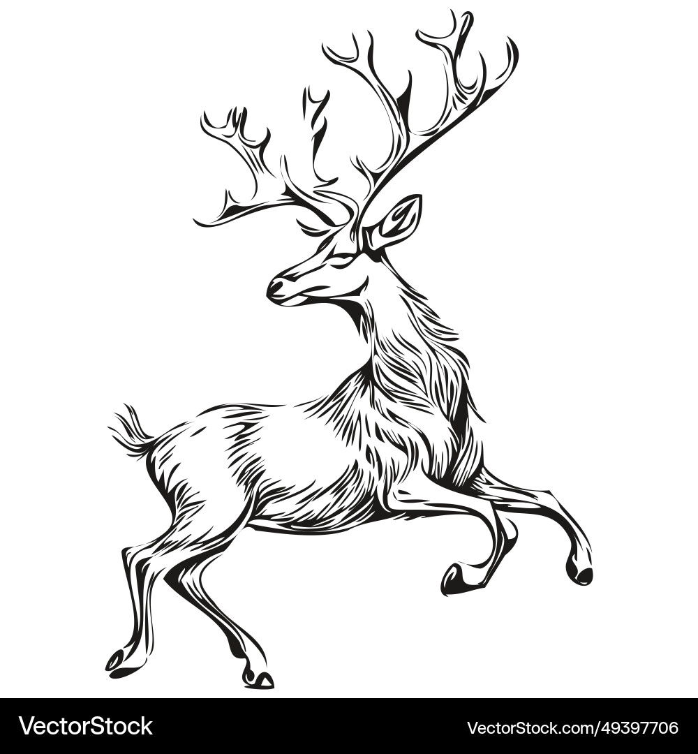 Christmas reindeer deer outlines hand drawn Vector Image