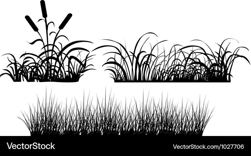 Grass Royalty Free Vector Image - VectorStock
