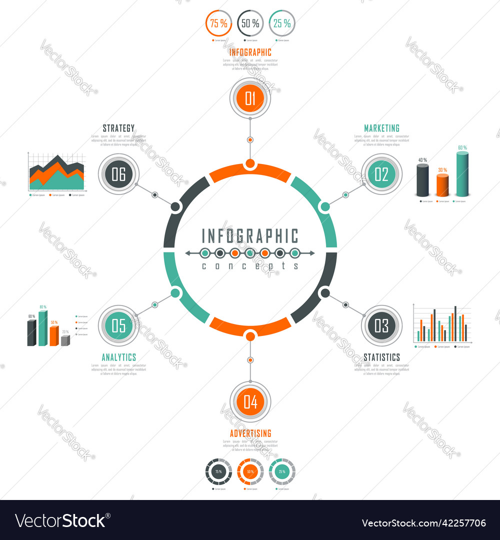 Infographic timeline template for chart diagram Vector Image