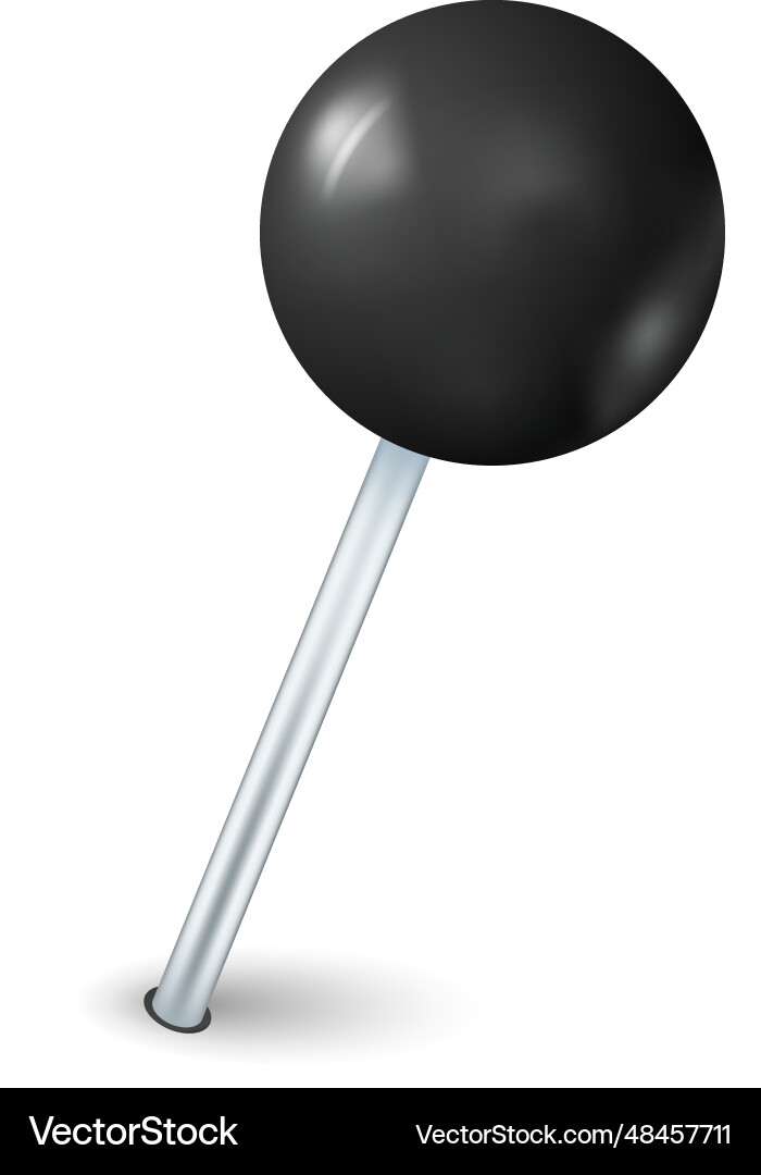 Black head needle office paper pin mockup Vector Image