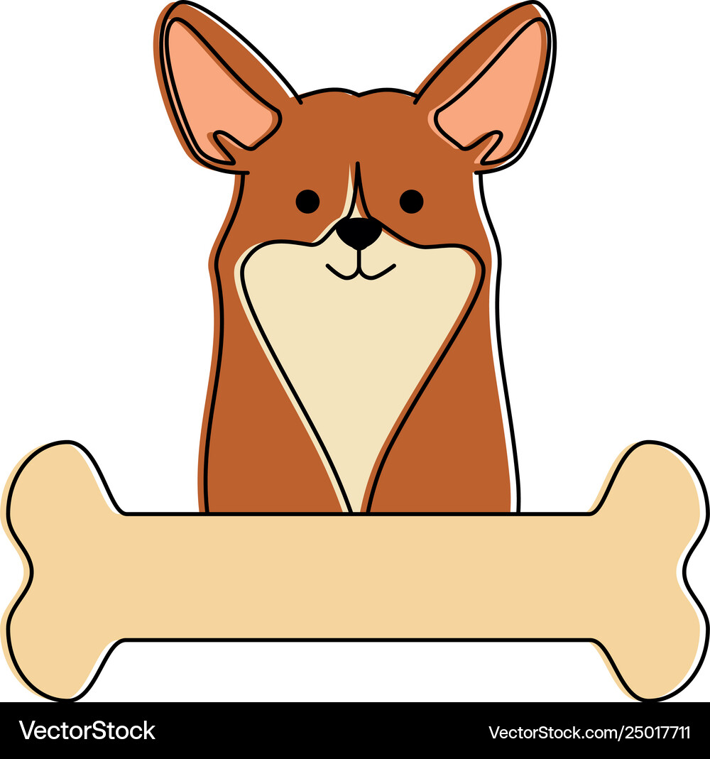Cute dog breed with bone character Royalty Free Vector Image